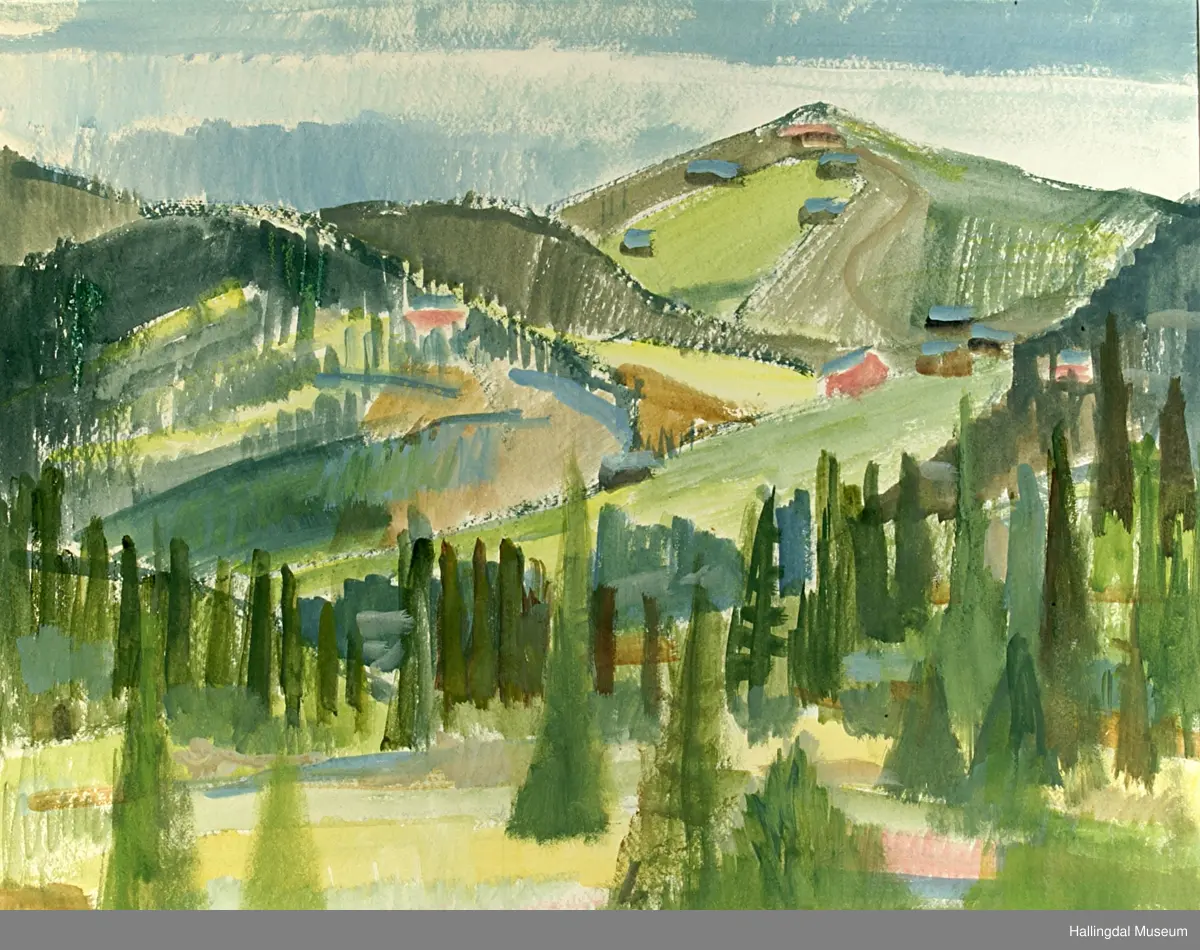 Bilde - Hallingdal Museum / DigitaltMuseum