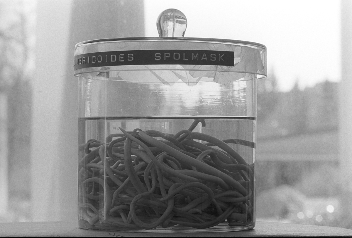 Spolmask i glasburk, Centrum för laboratoriemedicin, Akademiska ...