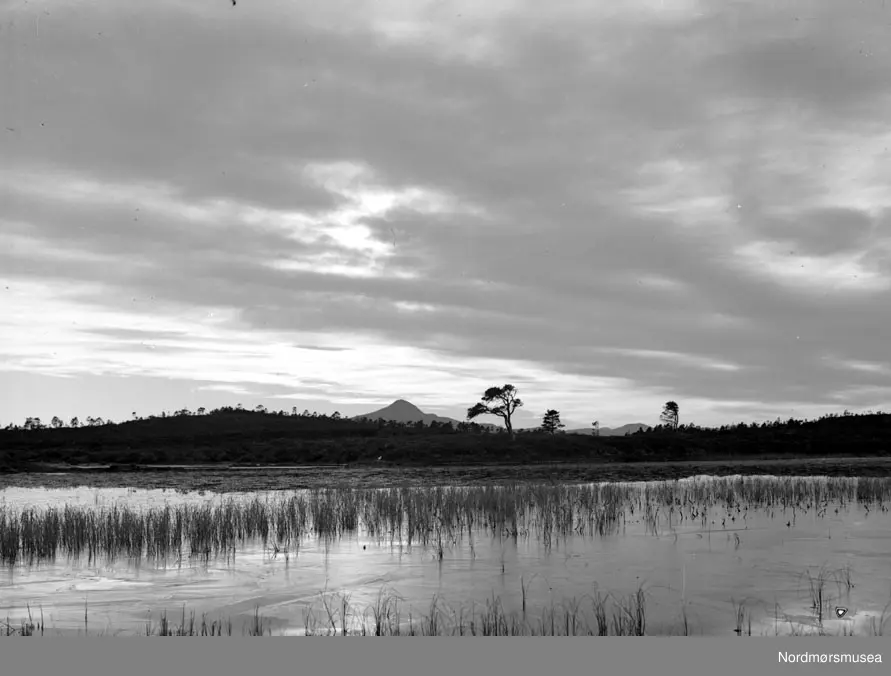 siv, vann. Datering er ukjent, men trolig omkring 1950 til 1960. Fra ...
