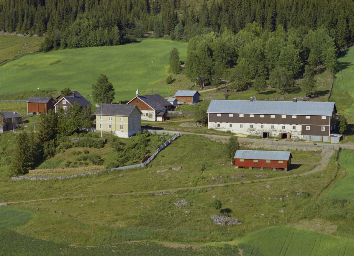 Øyer, Nord-Tretten. Vedem Gård (Vedum Gård) Stor, brunmalt driftbygning ...
