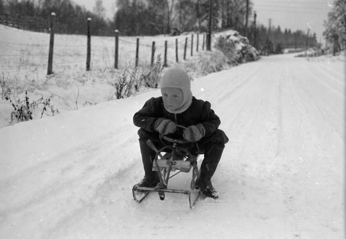 Bymarka, isskjæring, barn i lek, folk på ski - Sverresborg Trøndelag ...