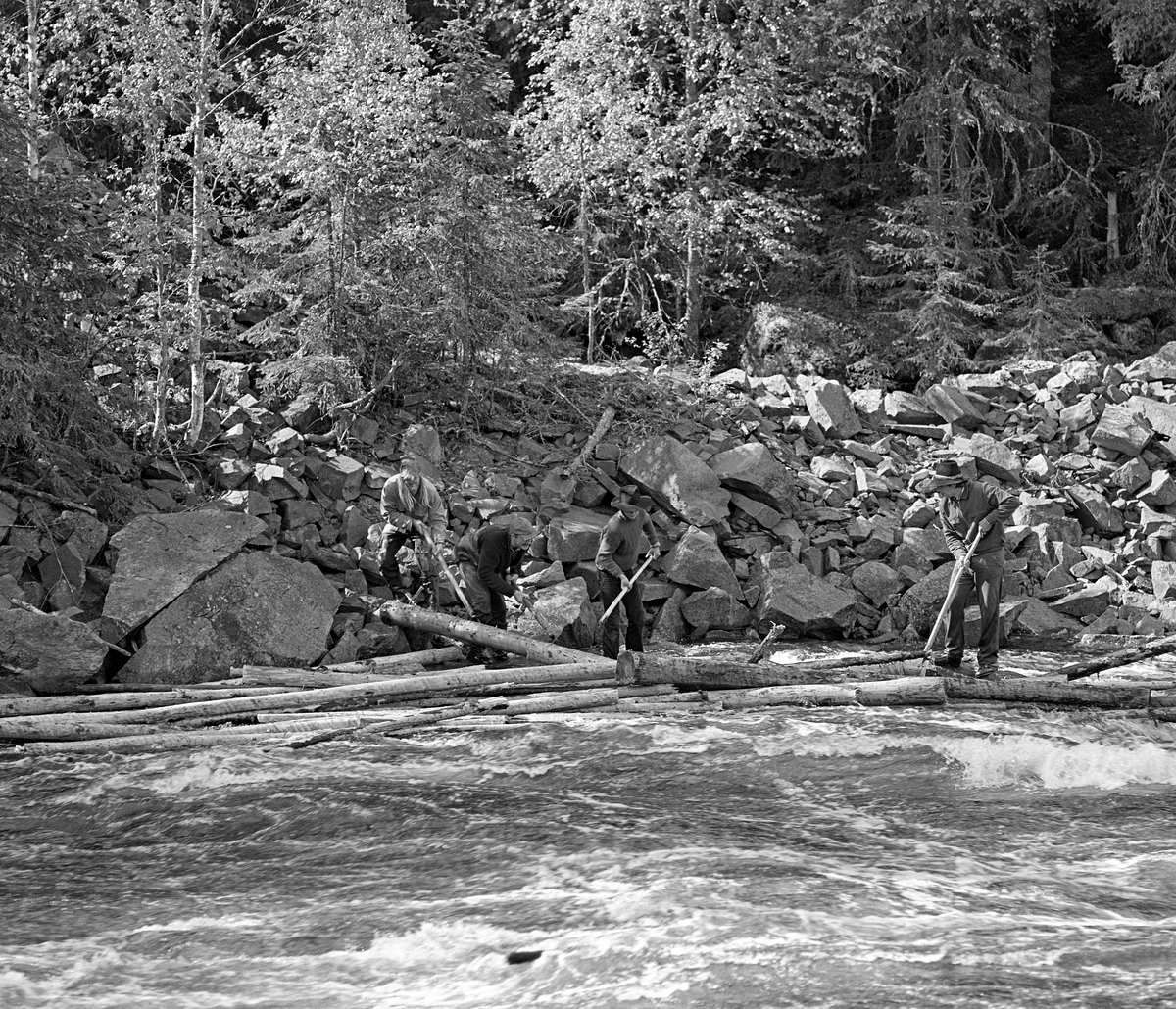 Sluttrensk i elva Søndre Osa i Åmot kommune i Østerdalen i 1981 ...