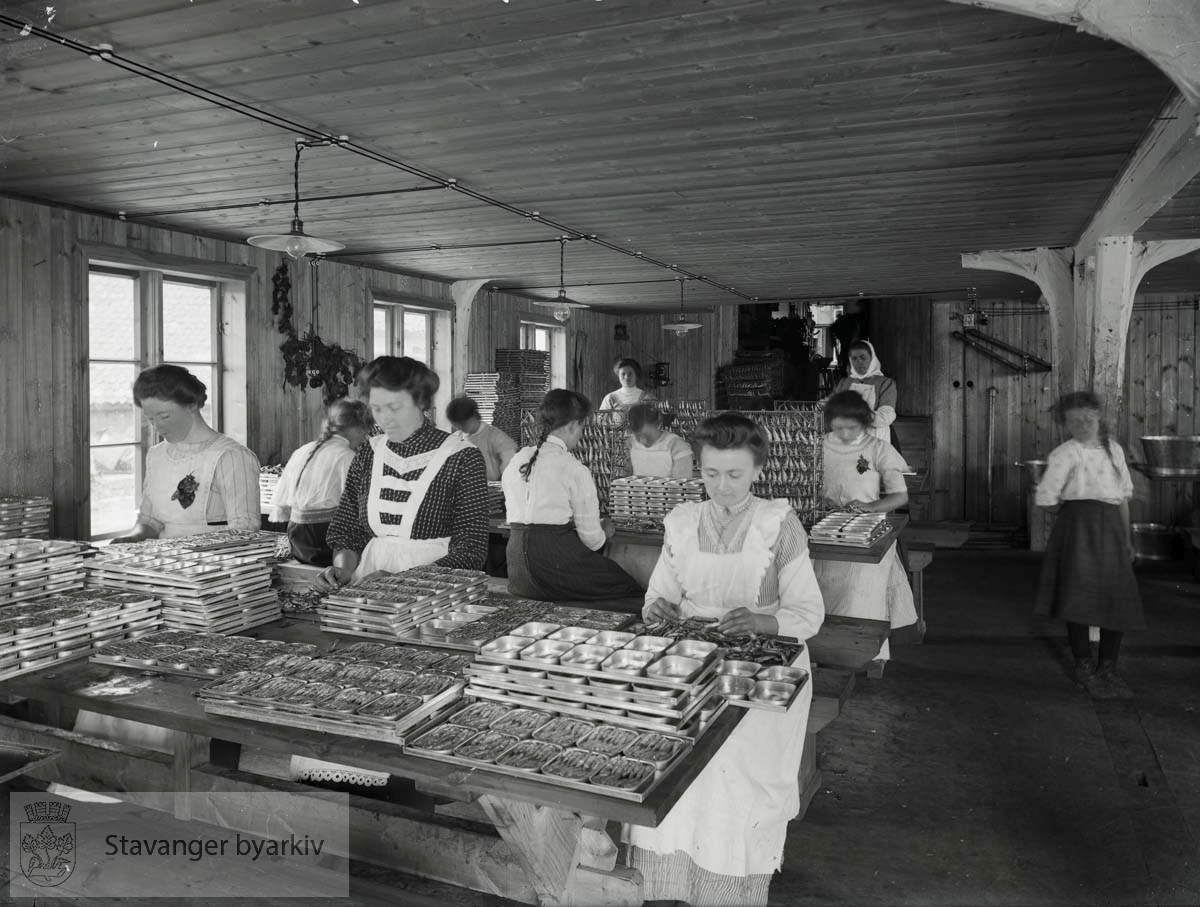 Pakking av brisling, Norwegian Sardine, Kopervik - Stavanger byarkiv ...