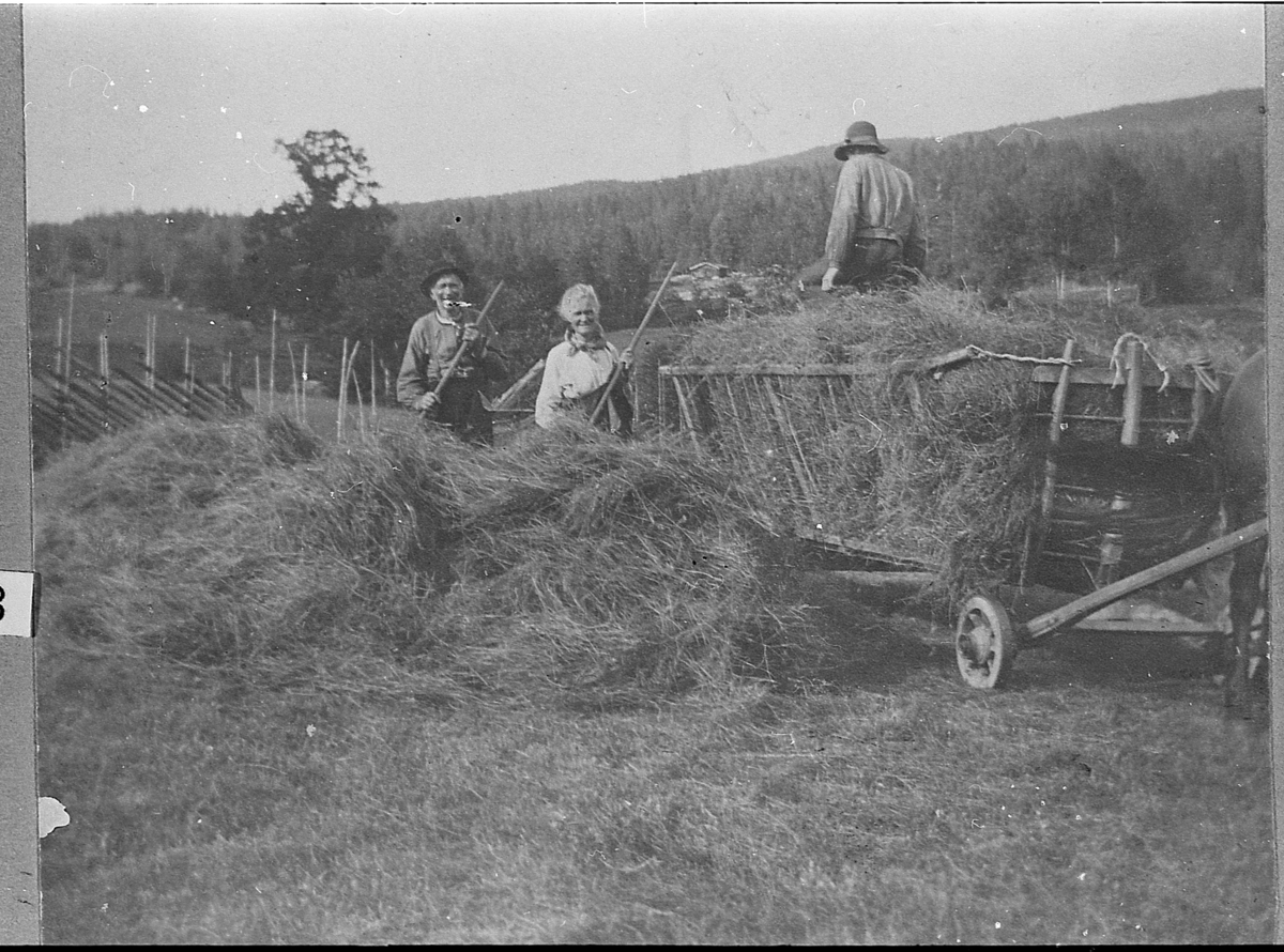 Slåtten på Bergan i Øvre Sigdal. Kittil Bergan i lasset. Lars og Åse ...