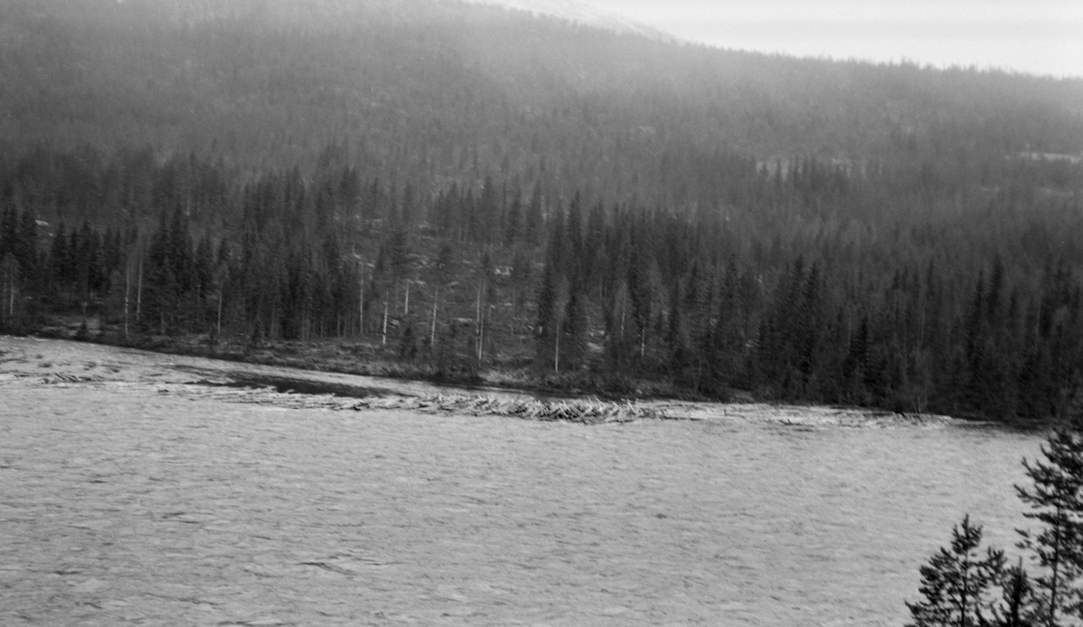 Fløting mellom Alvdal og Atna. Elv. Tømmer. Landskap. 1963 - Anno Norsk ...