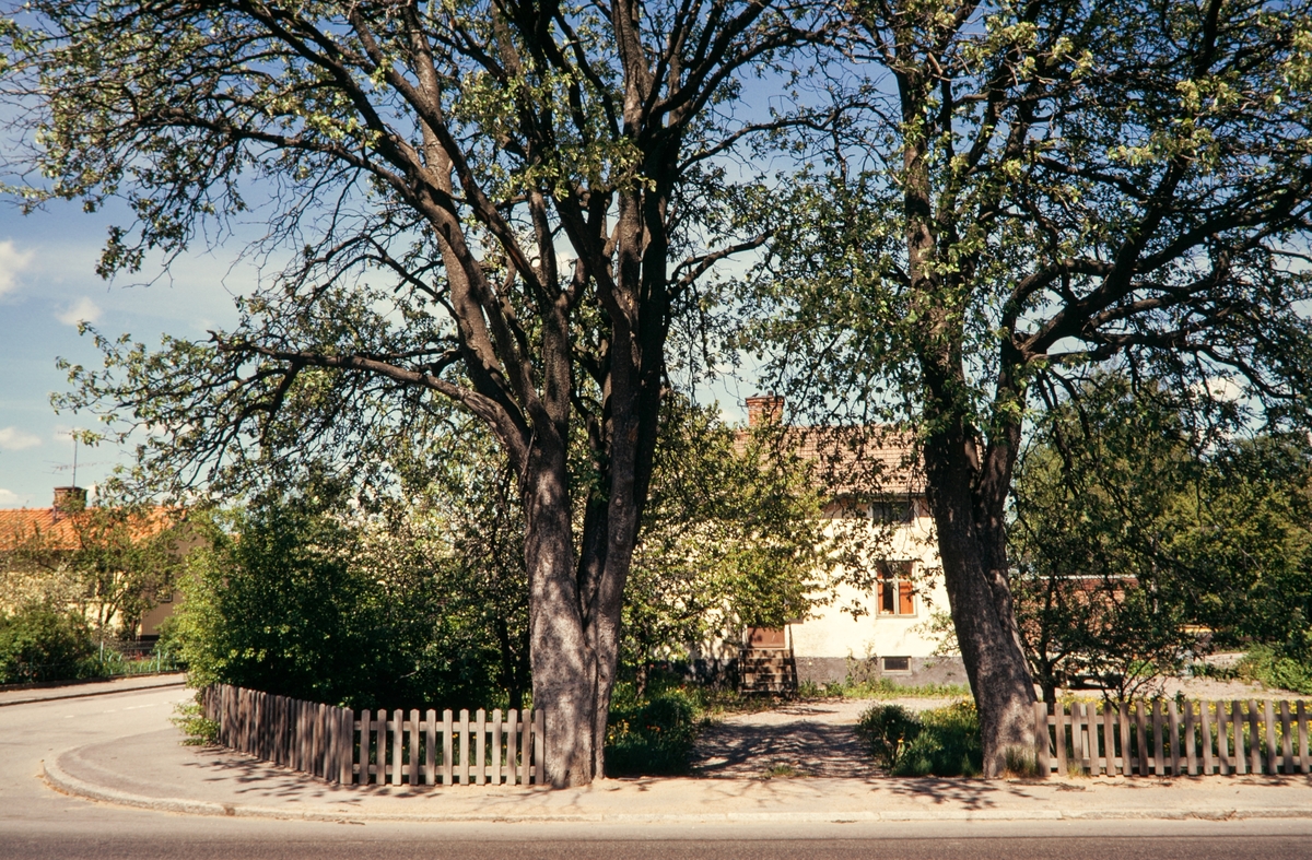 Myrhult, i Lillestan på Gamla Norr i Växjö, 1974. - Kulturparken ...