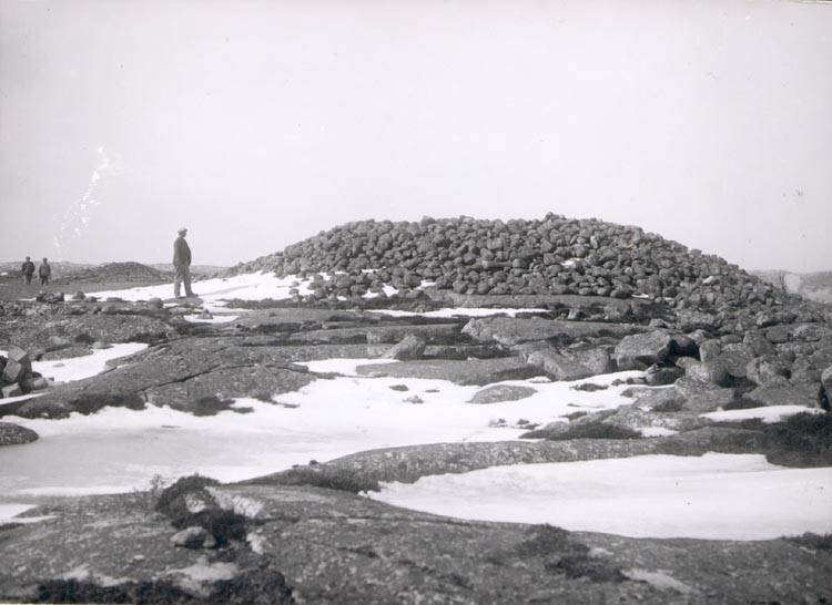 Noterat på kortet: "MALMÖN". "KUMMEL". "FOTO (D76) DAN SAMUELSON 1924 ...