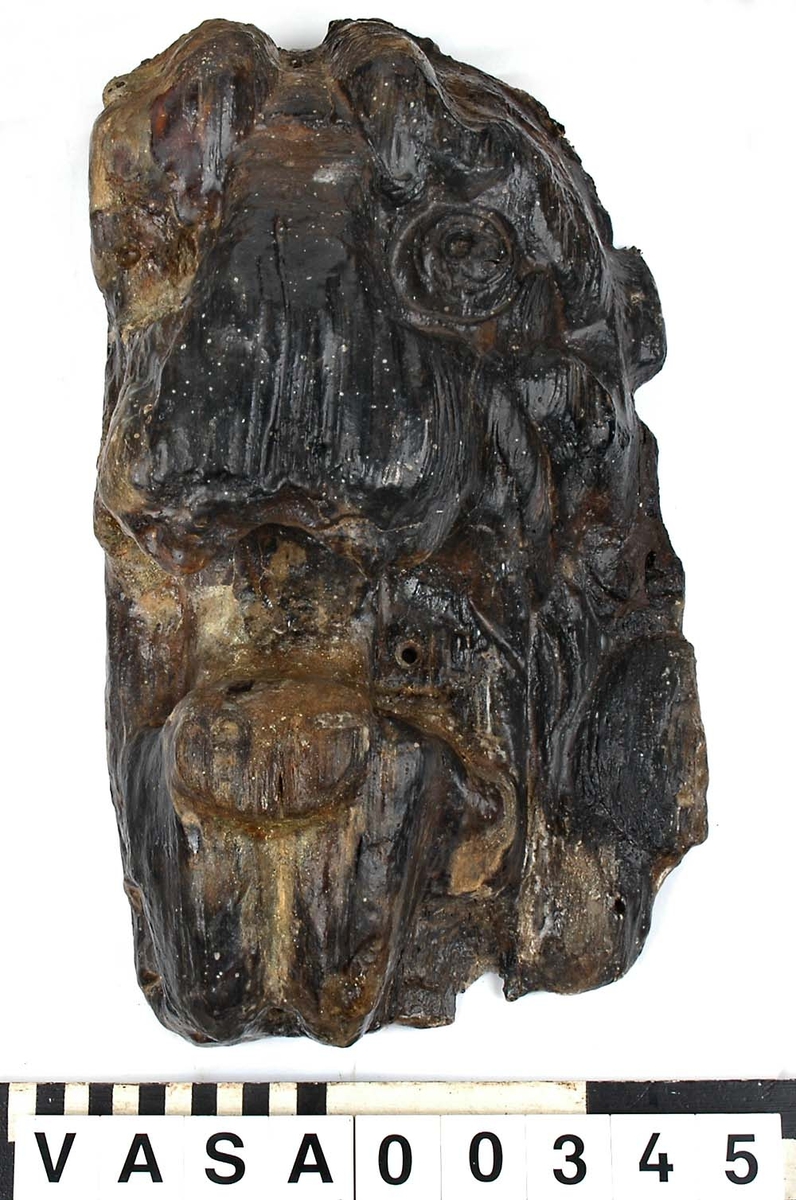 Lejonmaskaron - Vasamuseet / DigitaltMuseum