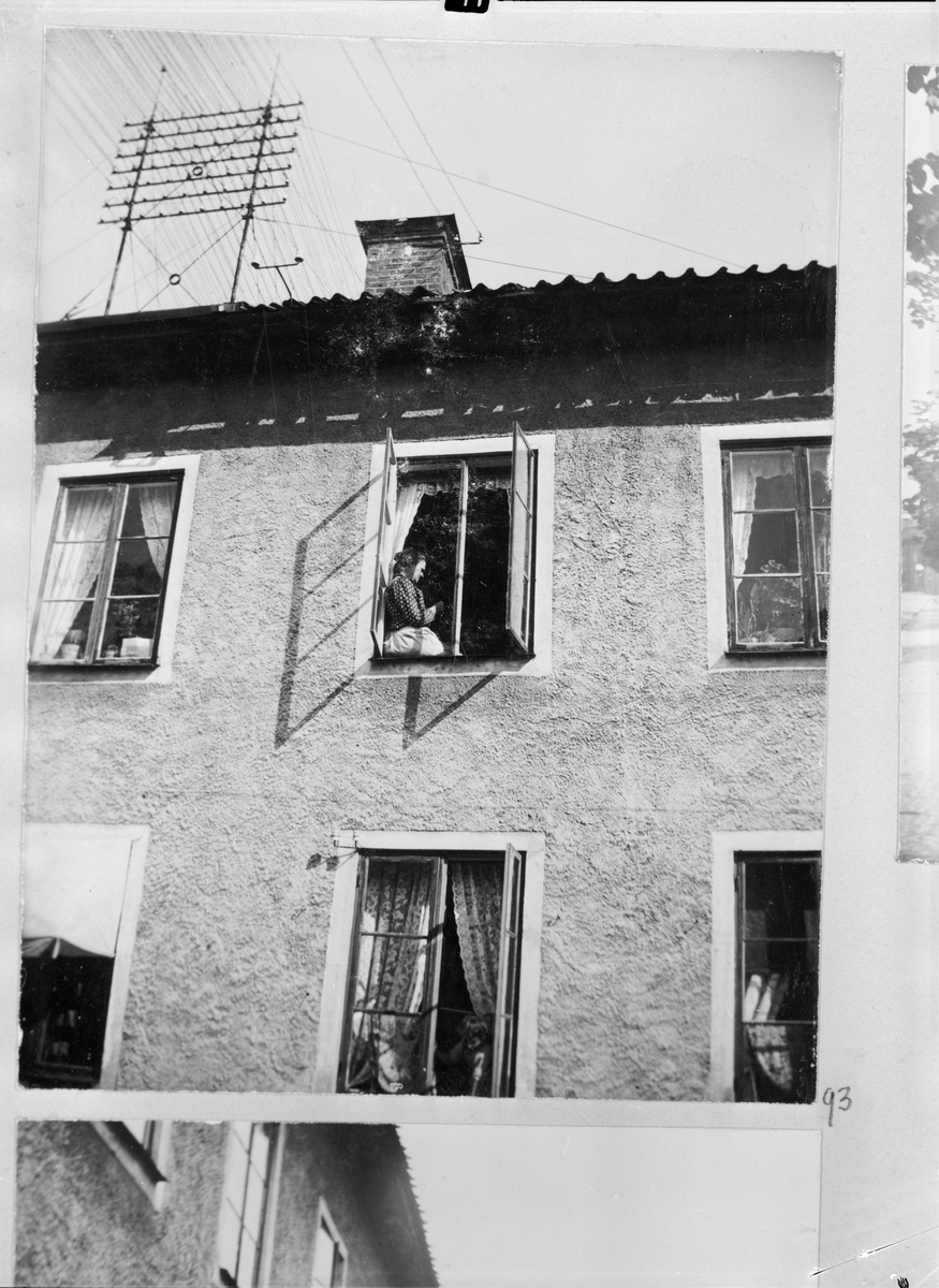 "Lova i fönstret", Svartbäcksgatan 37, kvarteret Edda, Uppsala 1900 ...