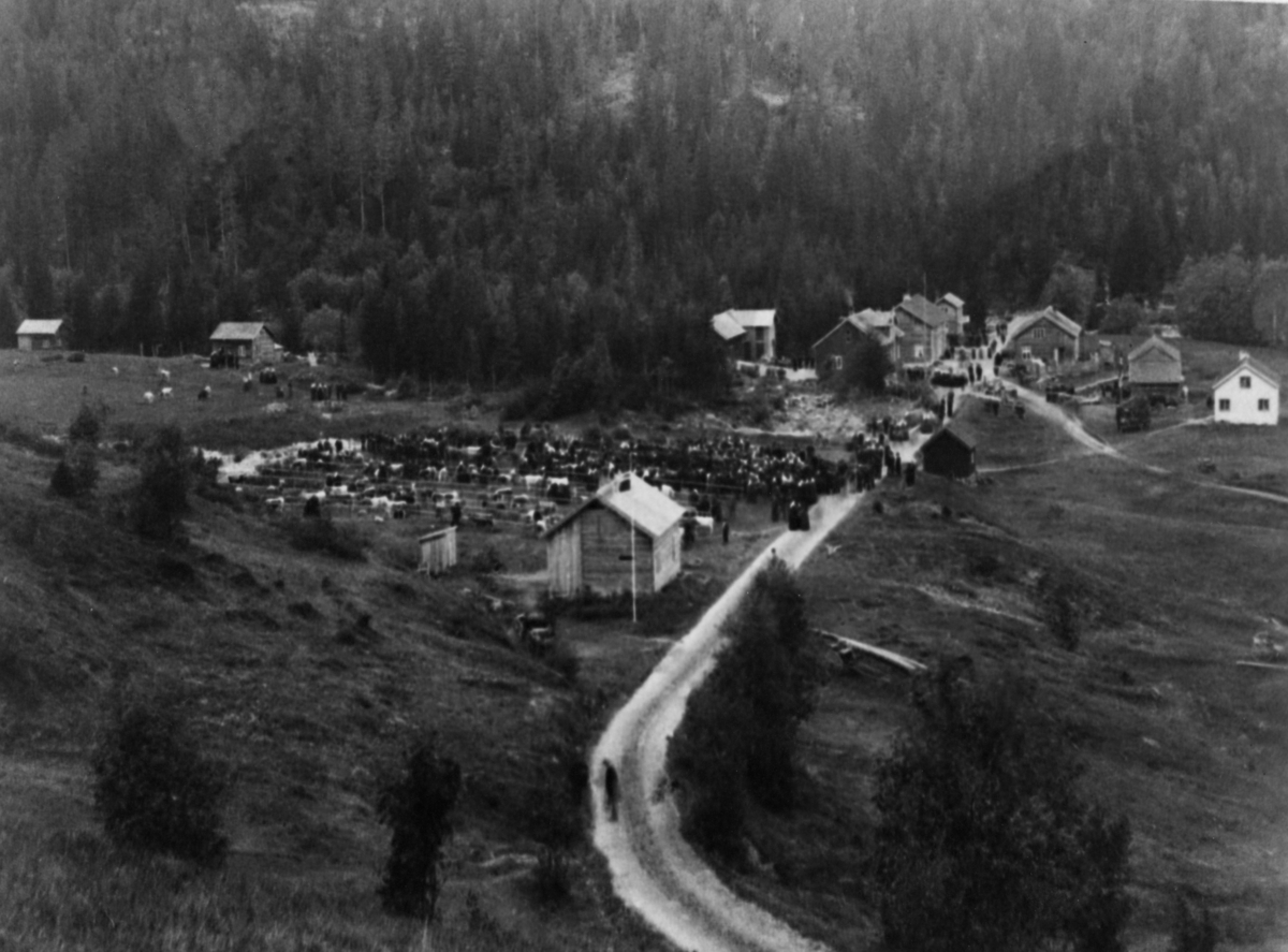 Bilder fra Gjerstad kommune - Aust-Agder museum og arkiv – KUBEN ...