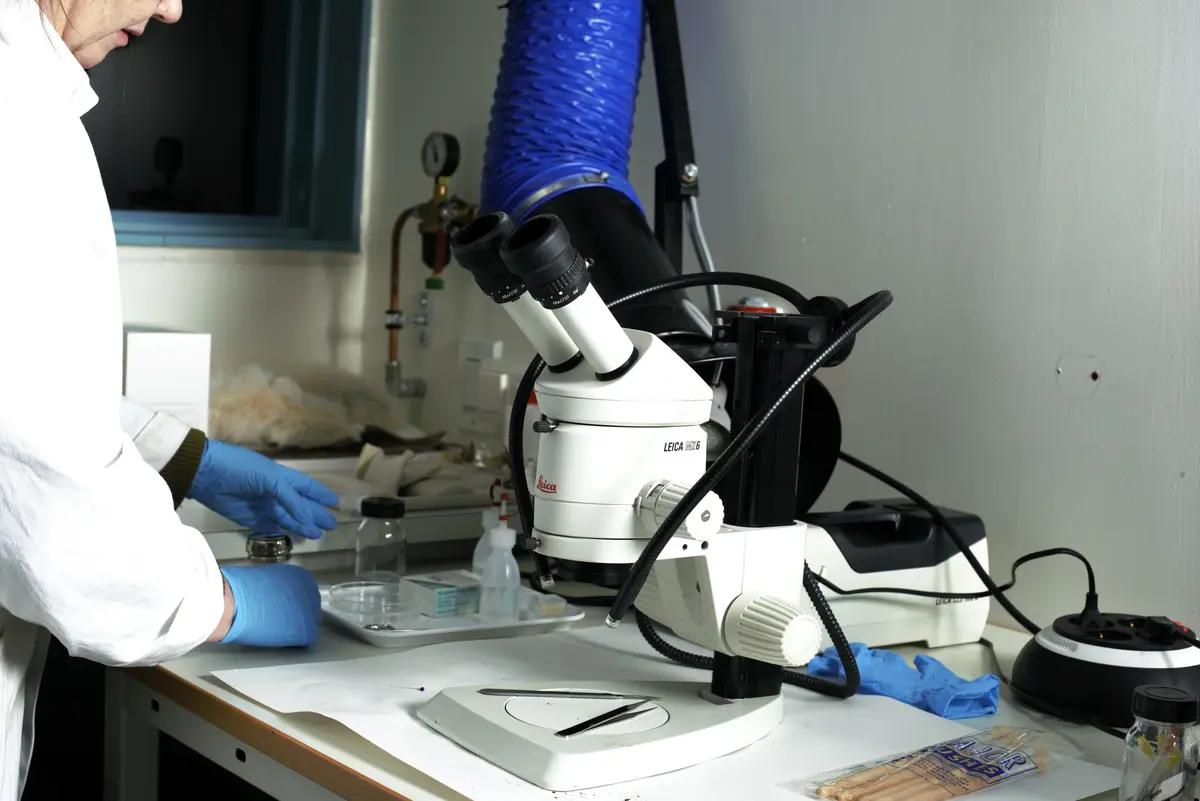 Konservator, arkeologisk materiale - Svalbard Museum